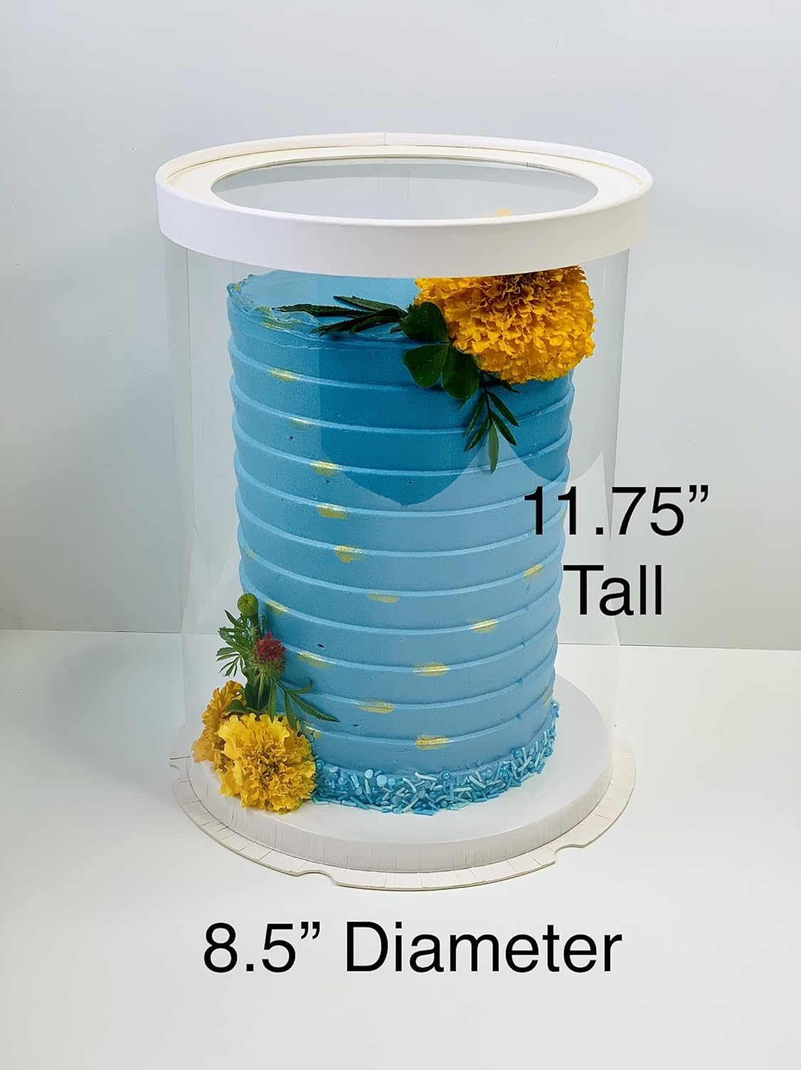 8.5x11.75 Inch ROUND Clear Cake Box Transparent White Tall Layer with ...